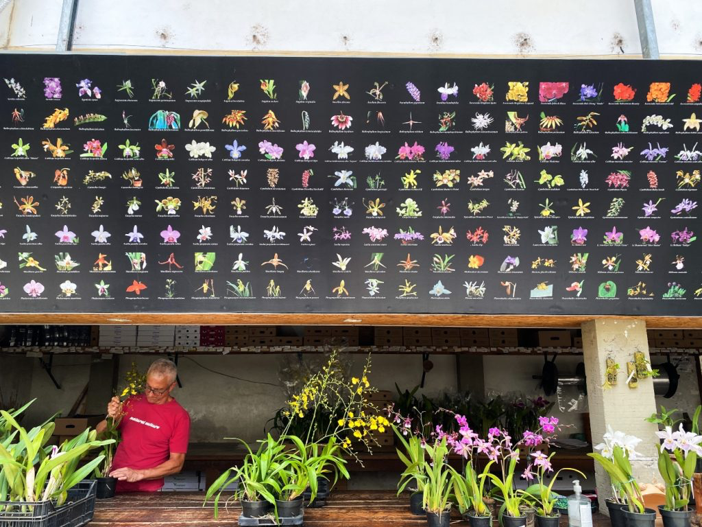 Orquidário Binot - Descubra Petrópolis